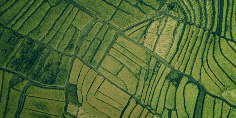 Press Release | Climate Impact X scales global access to carbon market ...