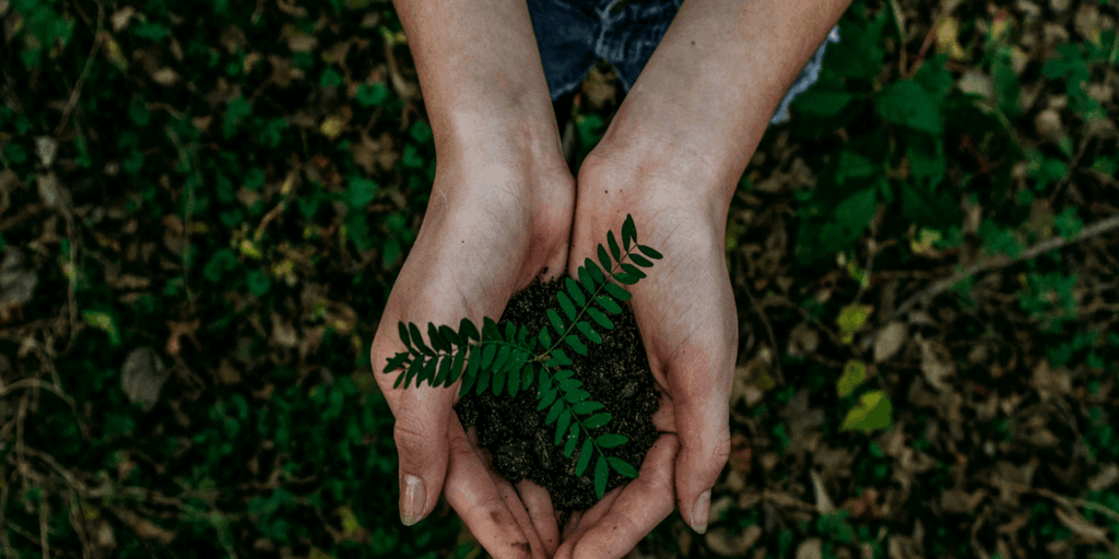 Press Release | Climate Impact X scales global access to carbon market ...