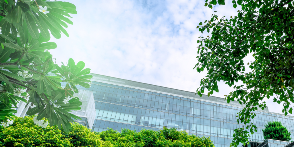 CIX Perspectives | SBTi Corporate Net-Zero Standard V2.0: What does it ...